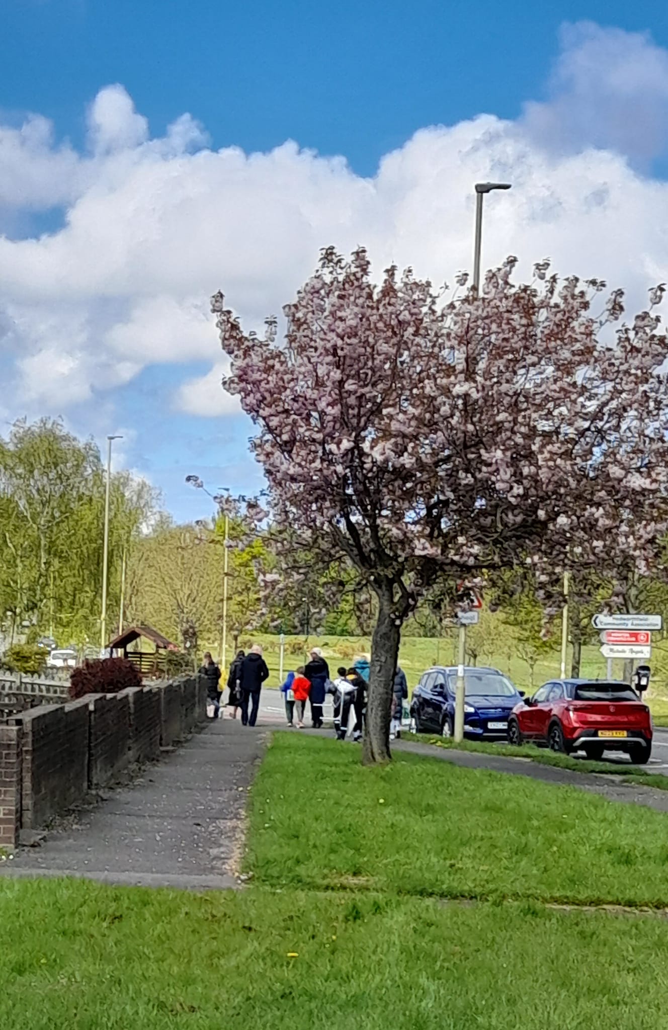 Gallery – The Walk – Save The Fellgate Green Belt